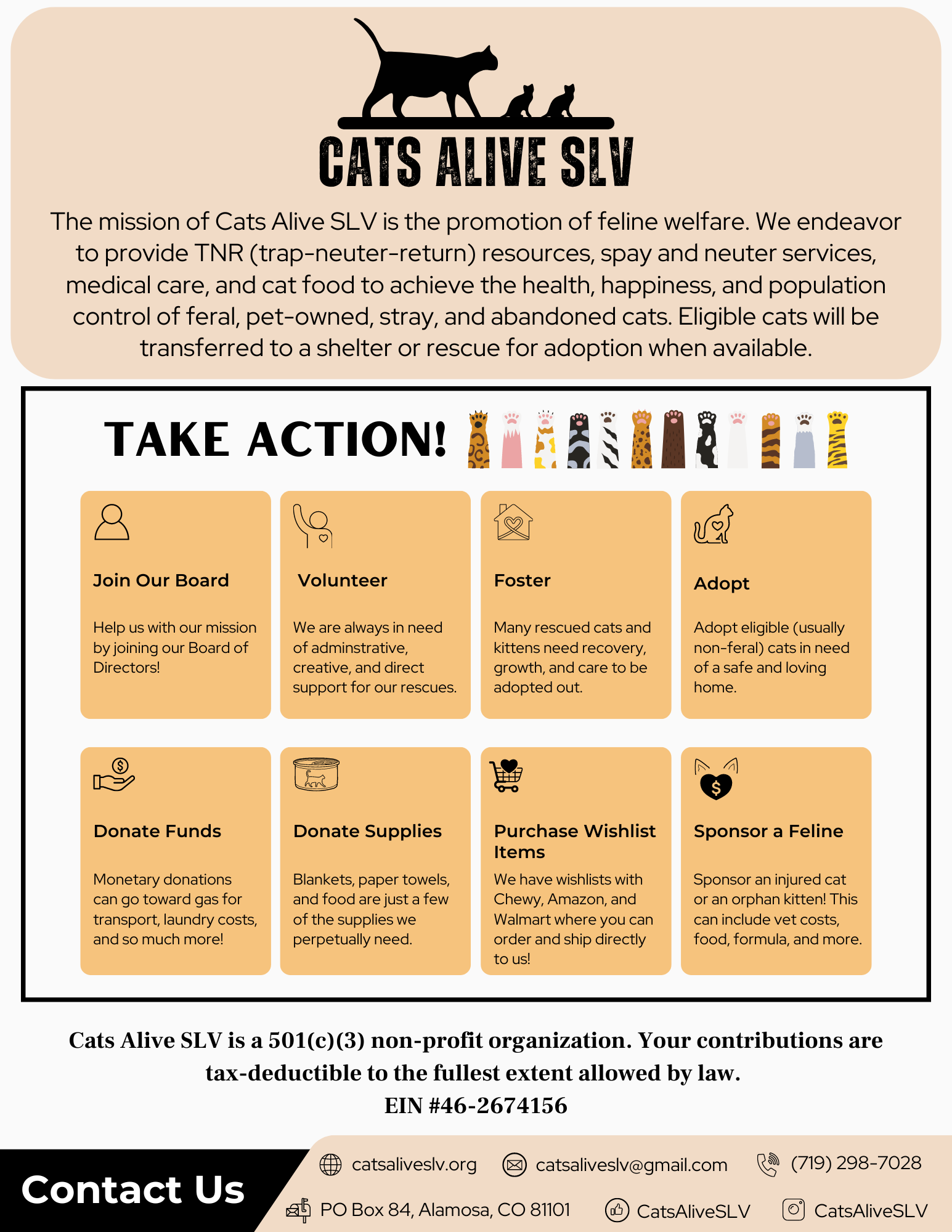 Get Involved – Cats Alive! SLV
